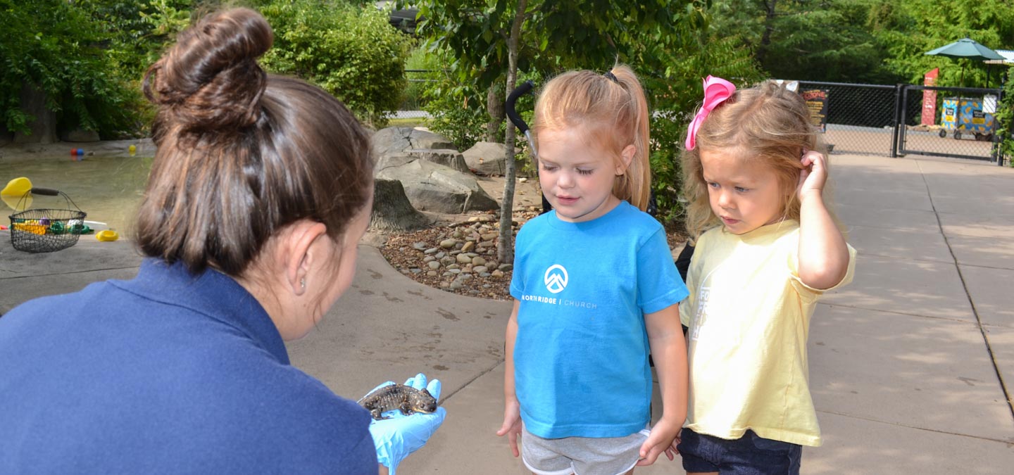 Animal Encounters in Kidzone | North Carolina Zoo