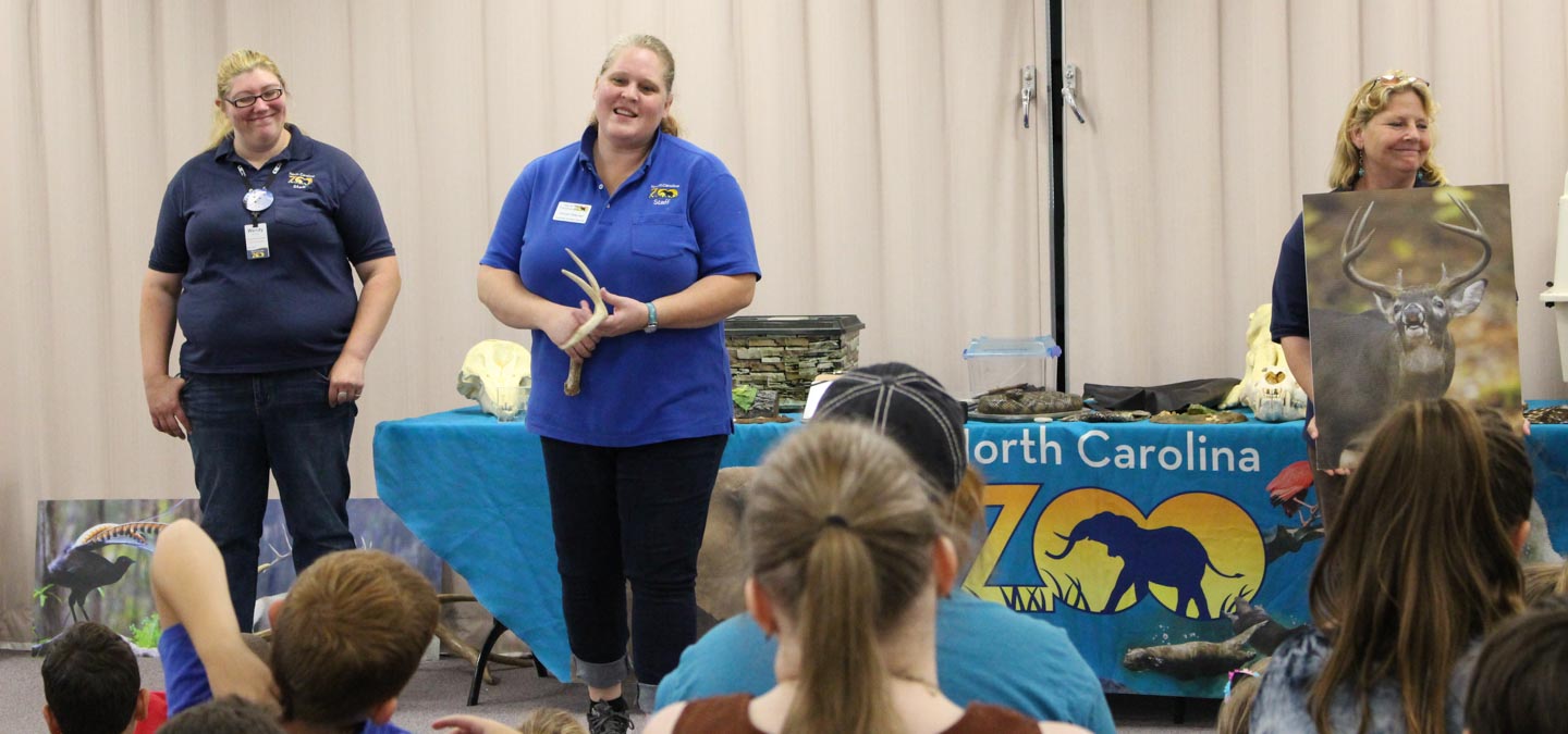Zoo Classroom - Virtual Programs | North Carolina Zoo