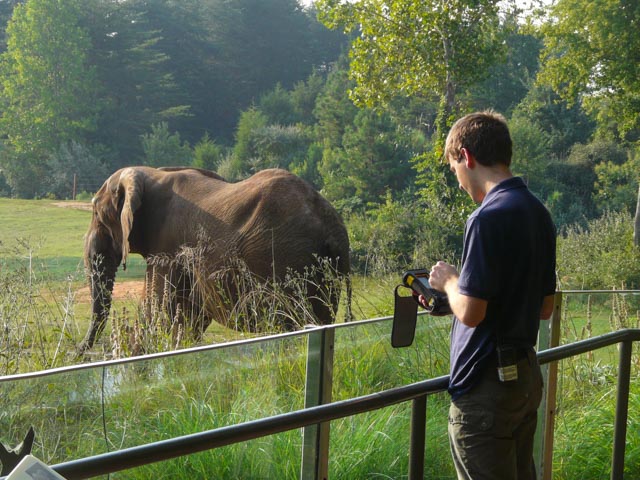 Using Science to Inform Elephant Management | North Carolina Zoo