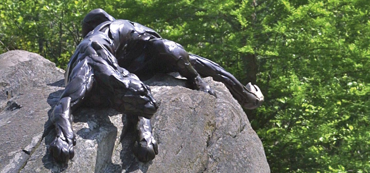 Catamount | North Carolina Zoo