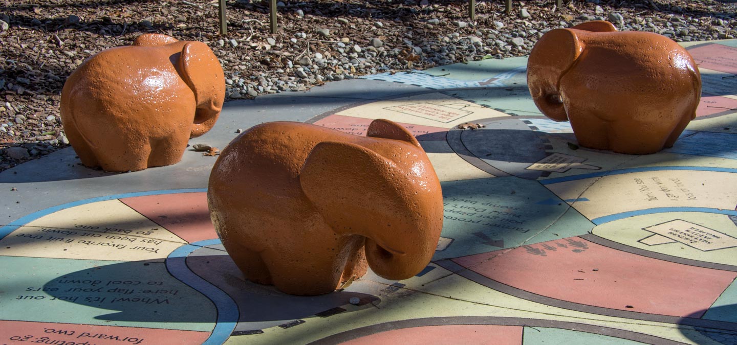 Elephant Tracking Game | North Carolina Zoo