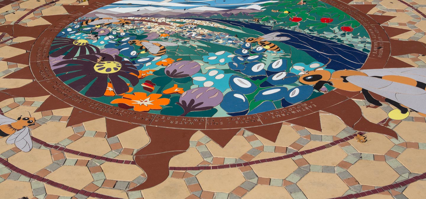 Follow the Pollen Path | North Carolina Zoo