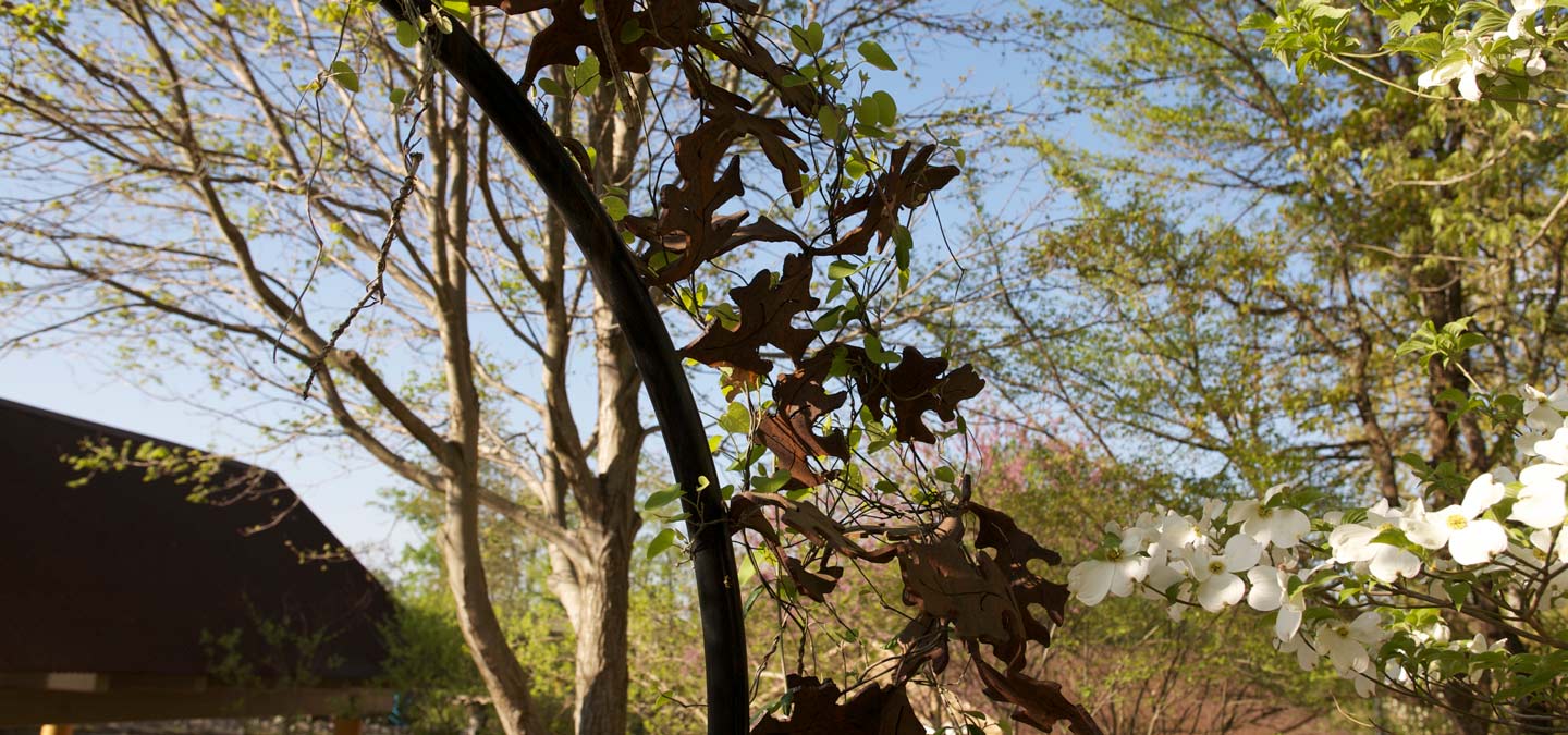 Hummingbird Garden | North Carolina Zoo