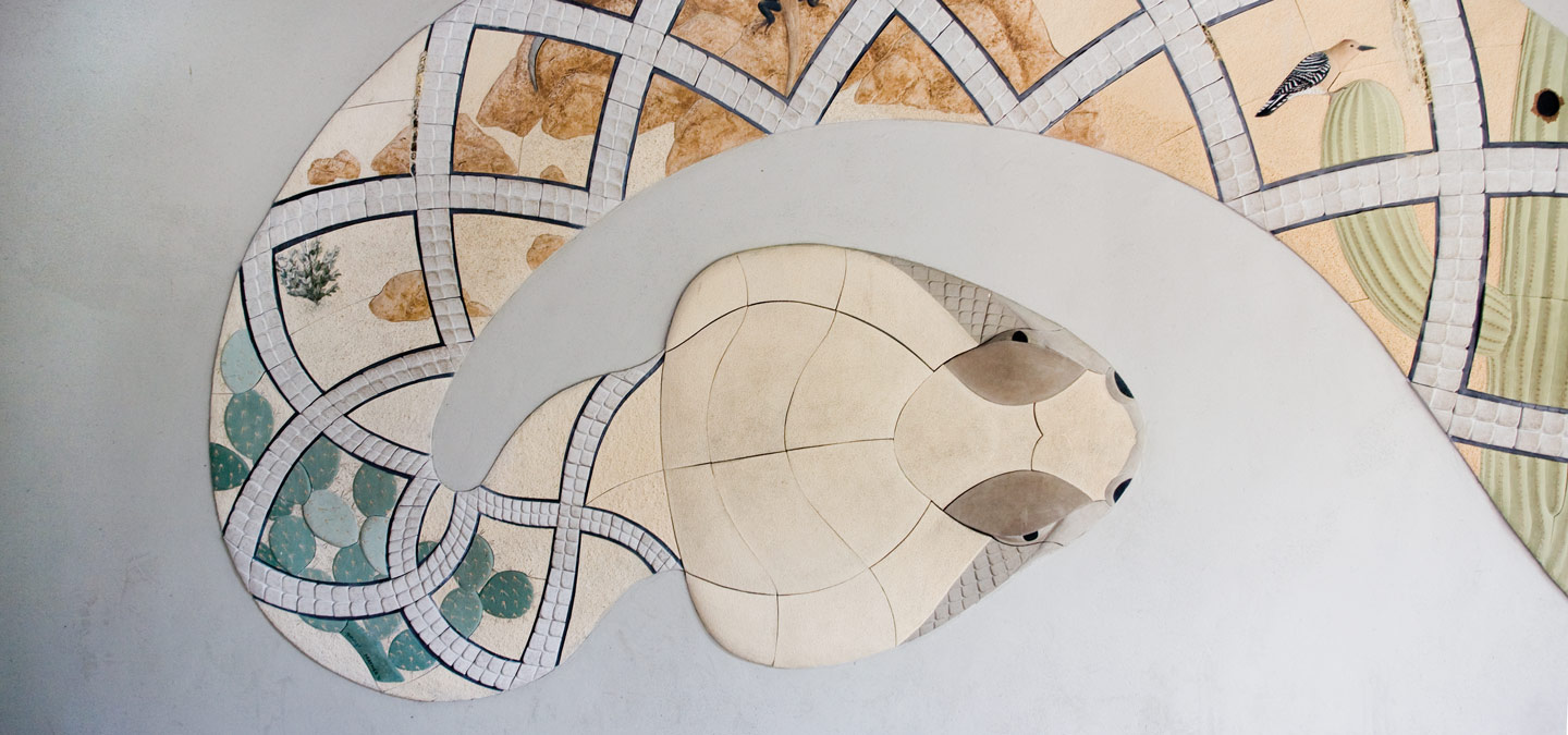 Sonoran Snake | North Carolina Zoo