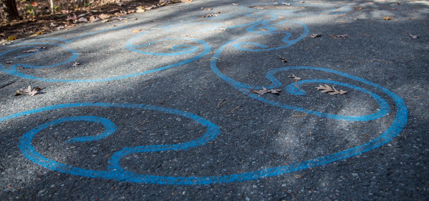 Streamlines | North Carolina Zoo
