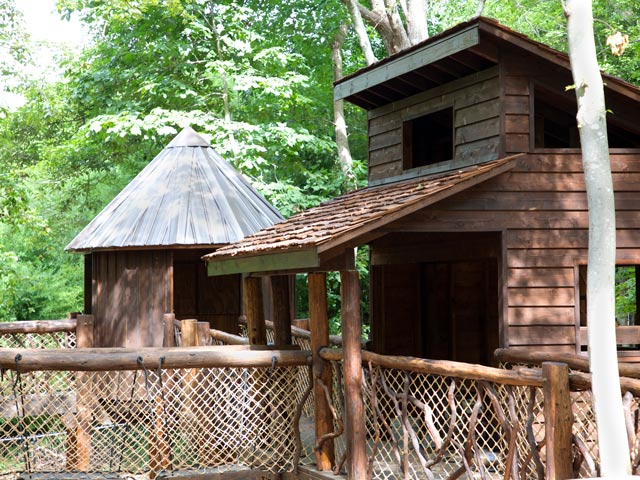 Treehouse Trek | North Carolina Zoo