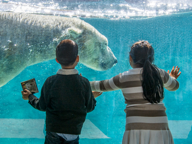 Visit | North Carolina Zoo
