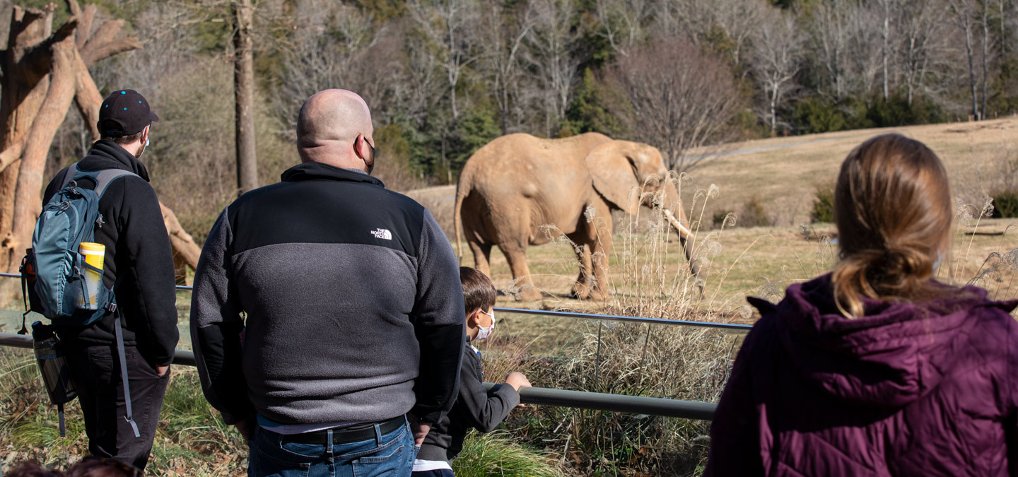 Making the Most of a Winter Visit at the Zoo | North Carolina Zoo
