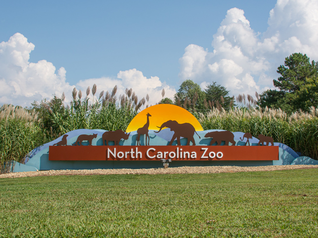 Virtual Visit | North Carolina Zoo