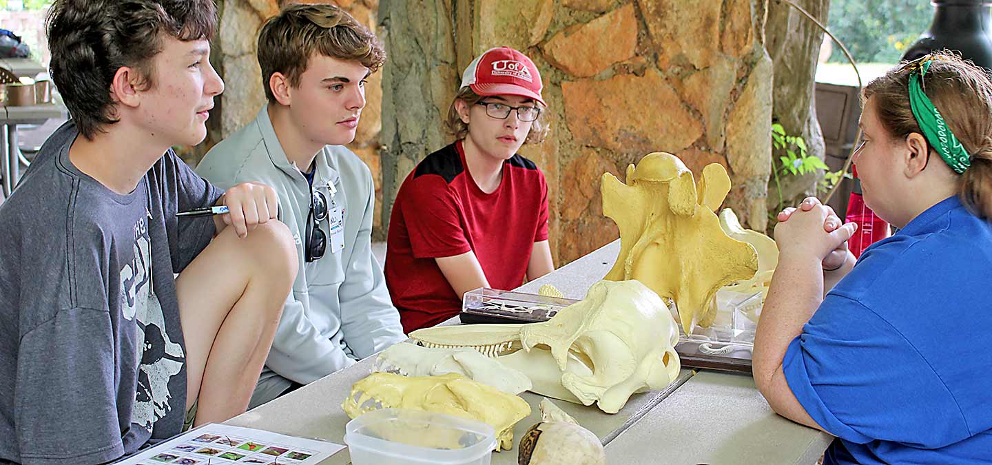 Wild Animal Science Camps | North Carolina Zoo