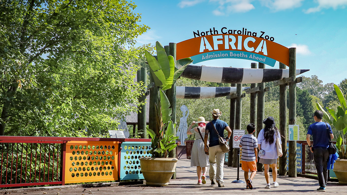 North Carolina Zoo Celebrates Record Attendance Milestone | North ...