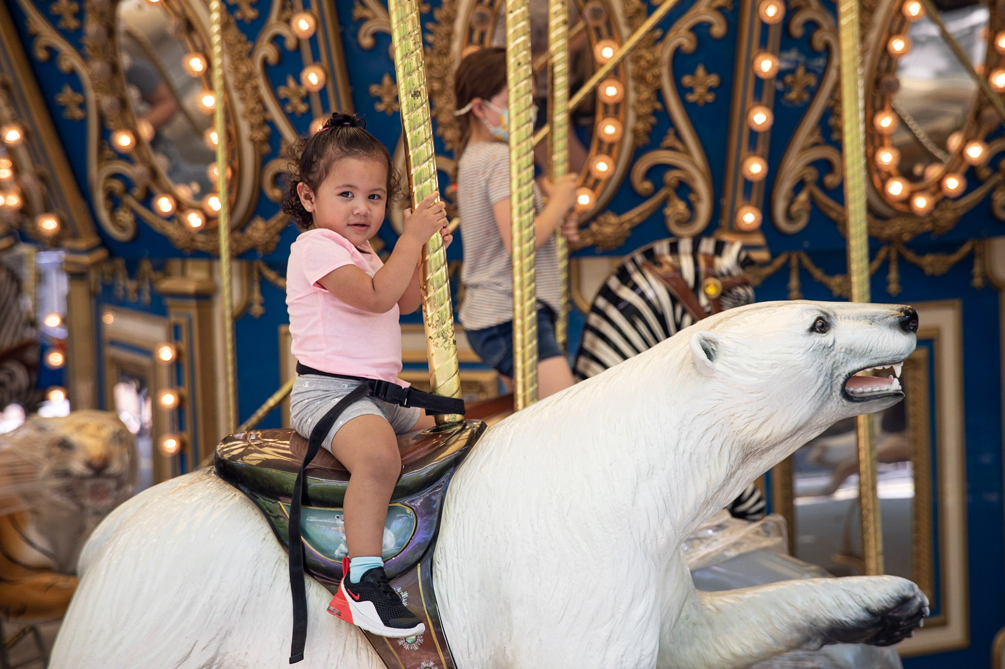 Carousel | North Carolina Zoo