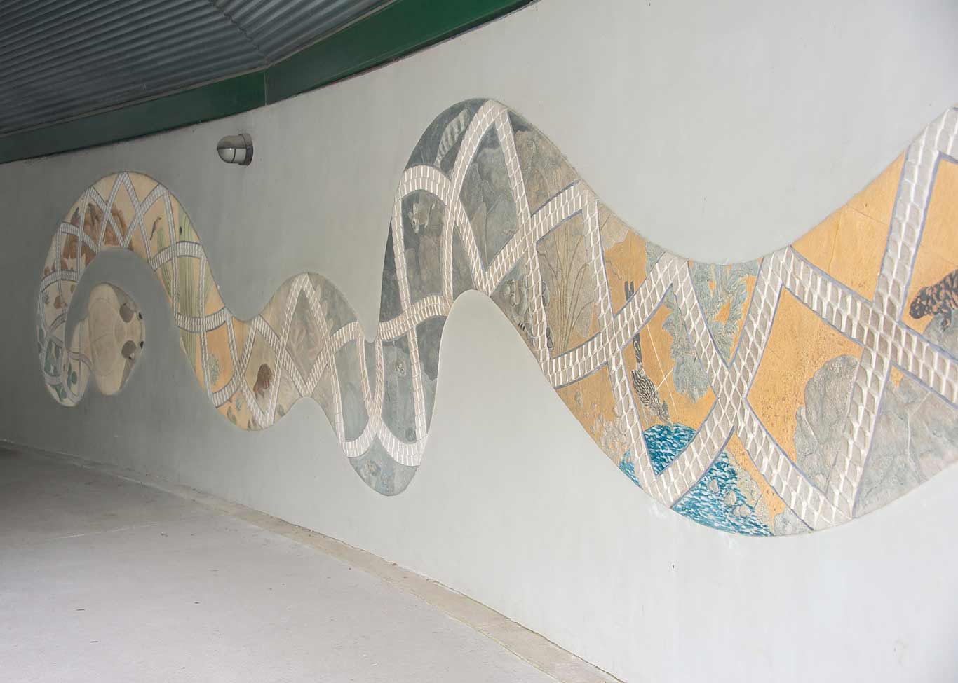 Sonoran Snake | North Carolina Zoo