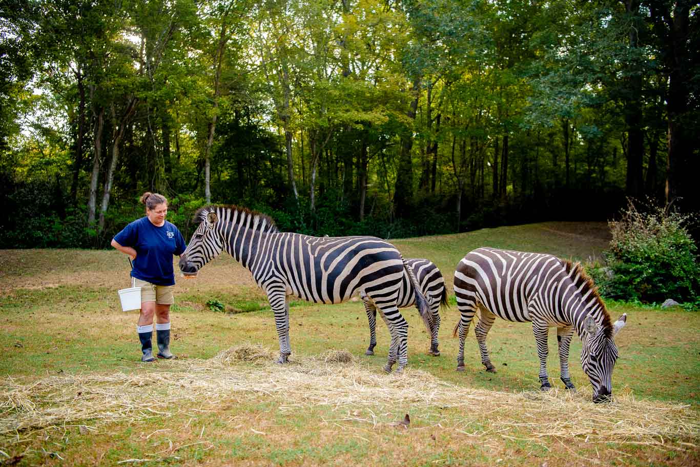 Careers | North Carolina Zoo