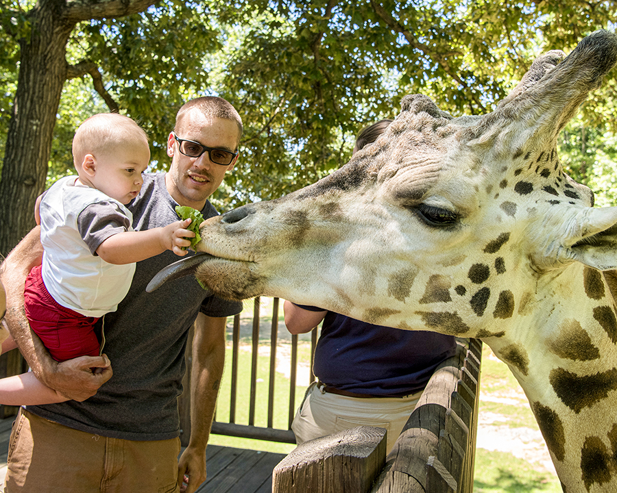 Father's Day | North Carolina Zoo