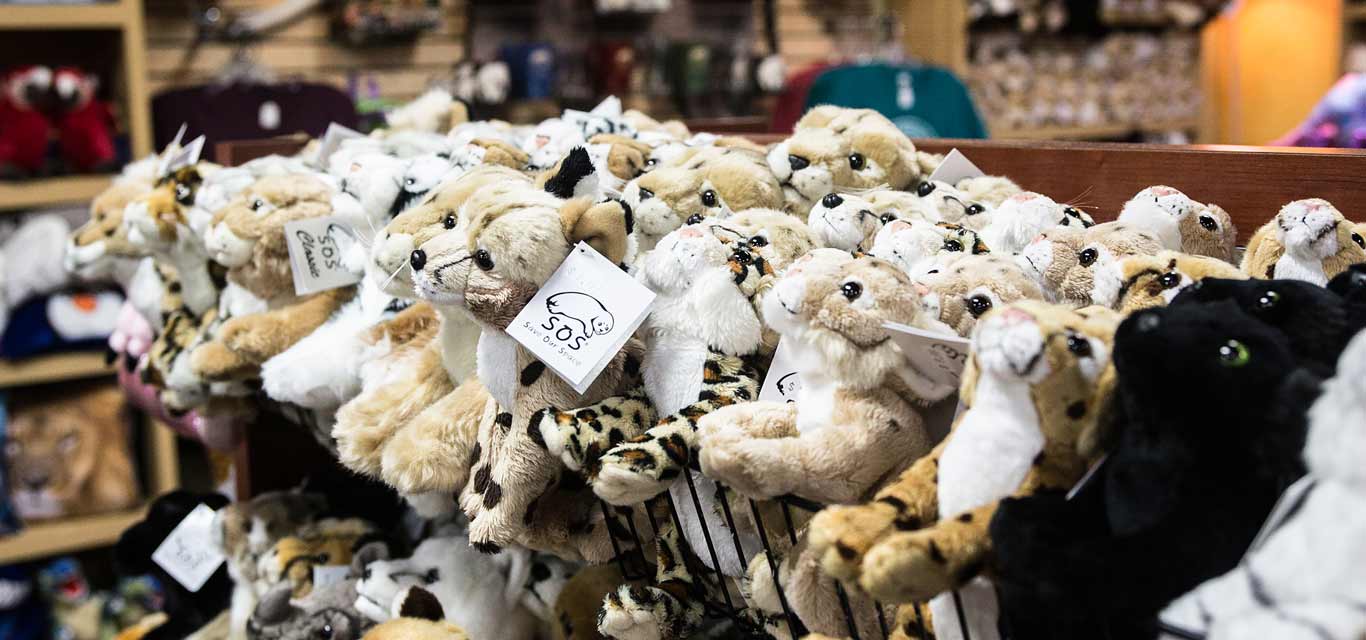 Gift Shop | North Carolina Zoo