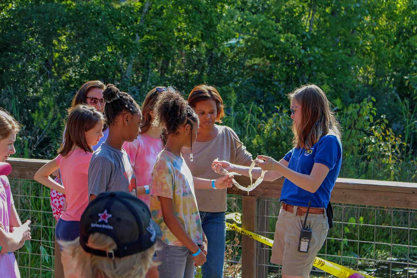 Resources for Grades 6 - 8 | North Carolina Zoo