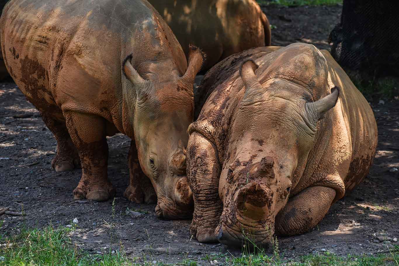 Zoo Guidelines | North Carolina Zoo