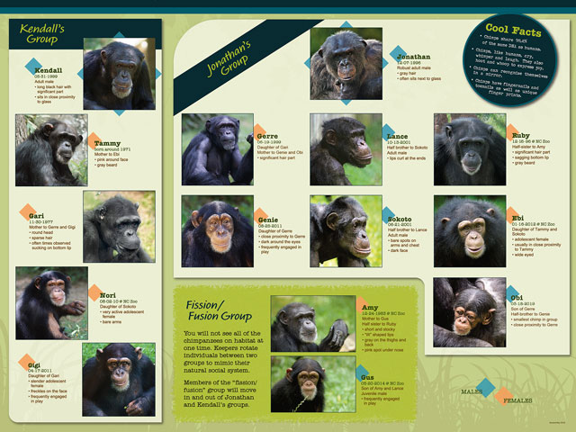 Chimpanzee Management | North Carolina Zoo