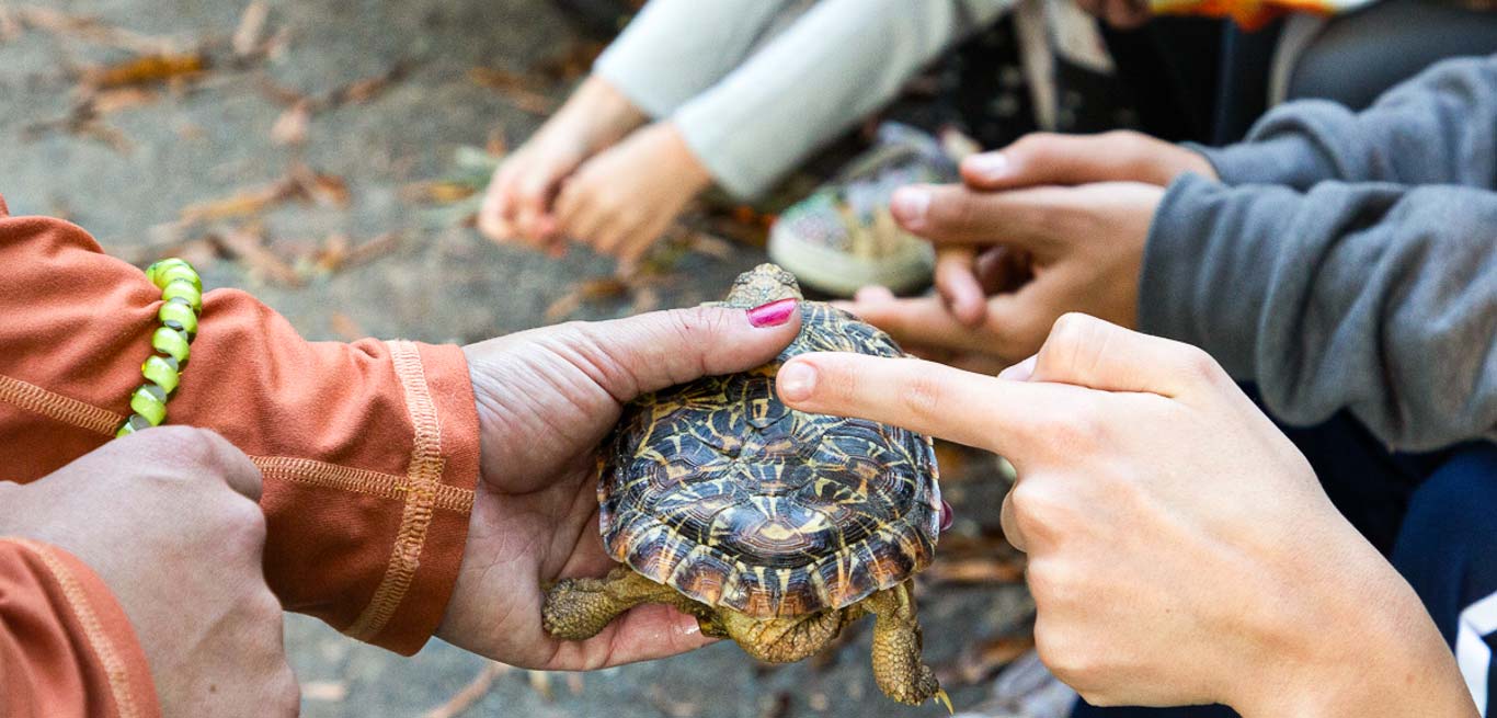 Citizen Science Education Internship | North Carolina Zoo