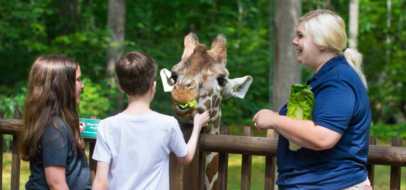 North Carolina Zoo Job Fair | North Carolina Zoo