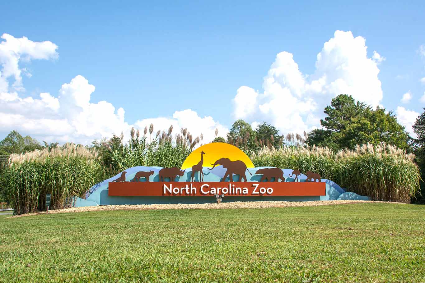 North Carolina Zoo Welcomes Survivors of Hurricane Helene | North Carolina Zoo