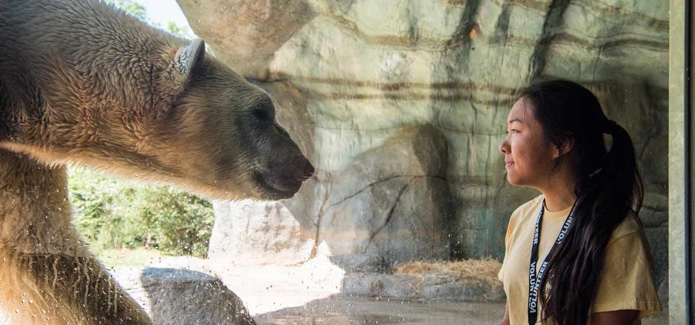 Animal Welfare and Zoo Science Research Internships | North Carolina Zoo