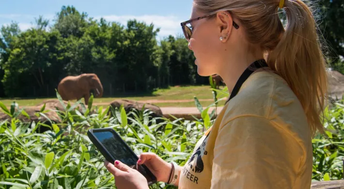 Zoo Research: An Elephant-astic Idea! | North Carolina Zoo