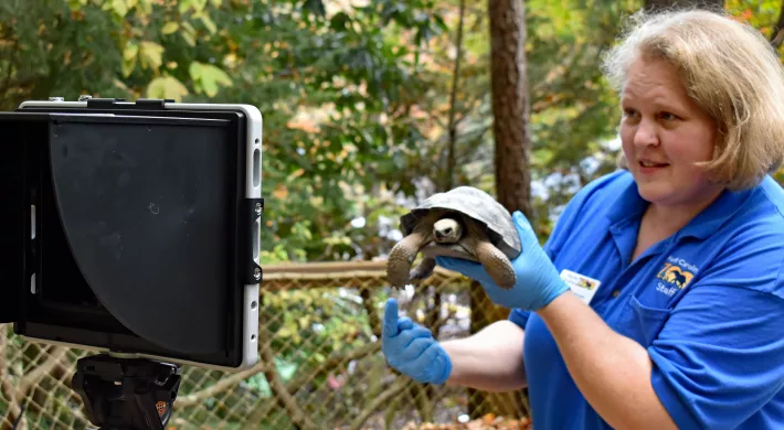 Virtual Visit | North Carolina Zoo