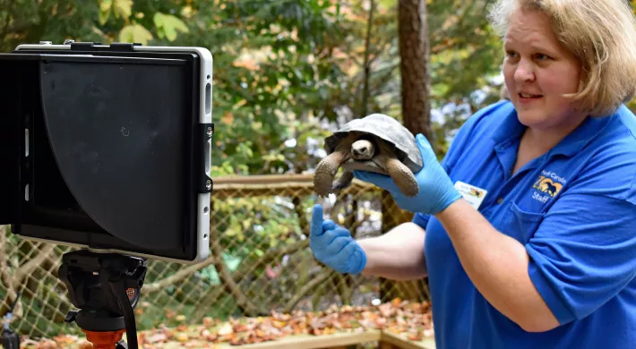 Virtual Visit | North Carolina Zoo