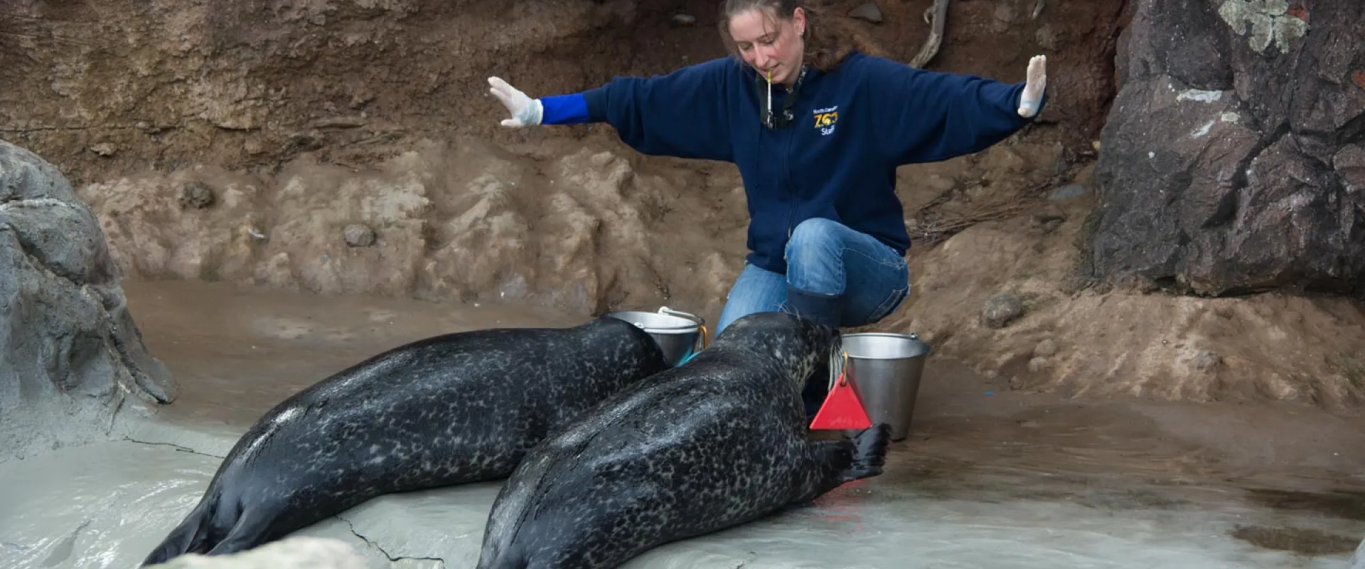 Zoo Careers | North Carolina Zoo