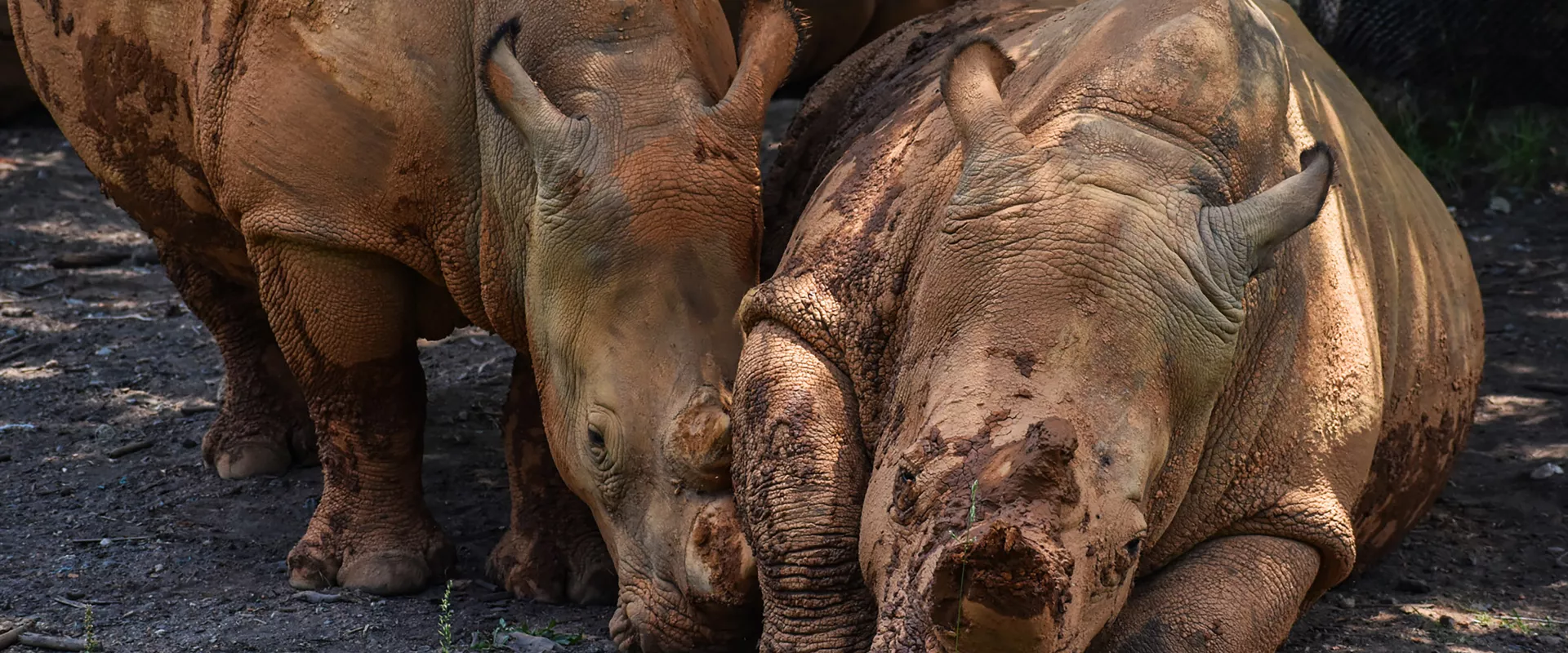 Zoo Guidelines | North Carolina Zoo