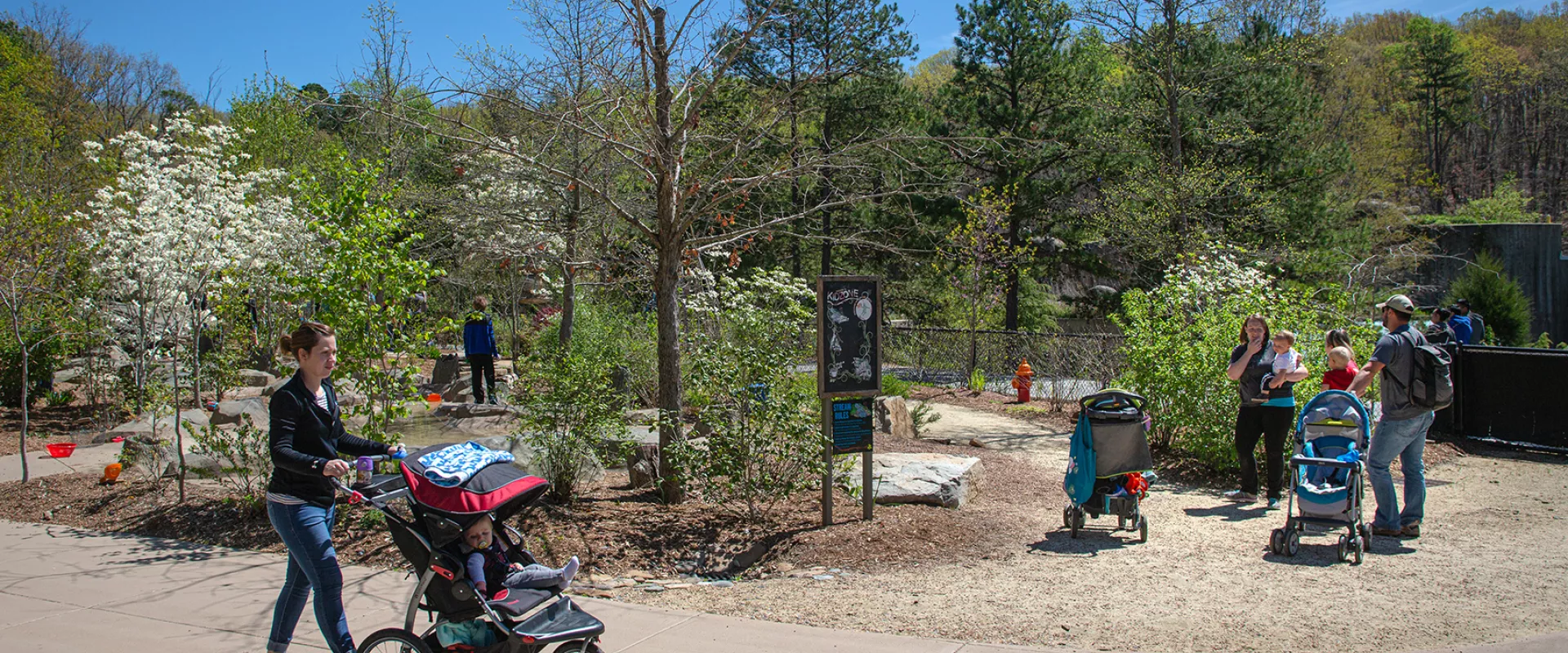 Kidzone | North Carolina Zoo