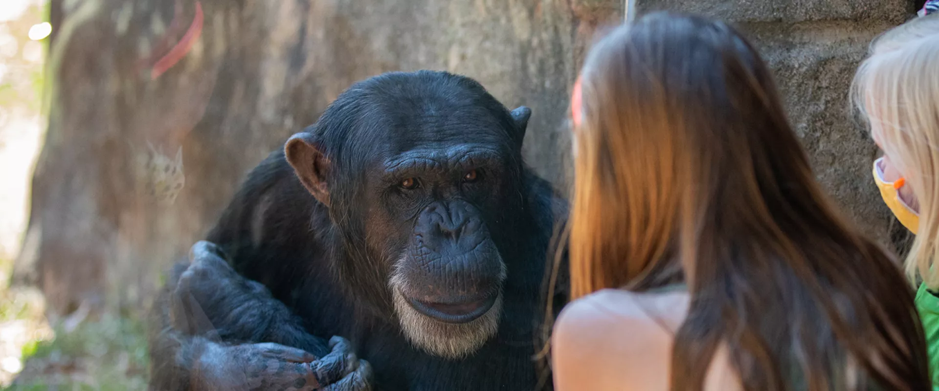 Animals | North Carolina Zoo