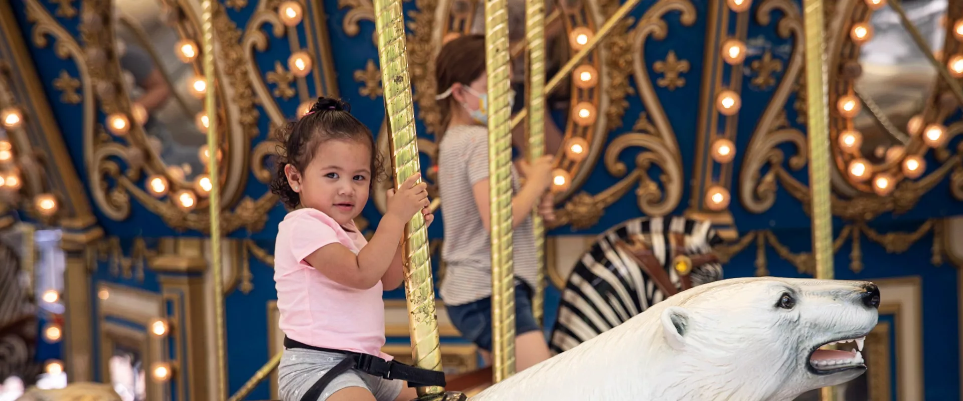Carousel | North Carolina Zoo