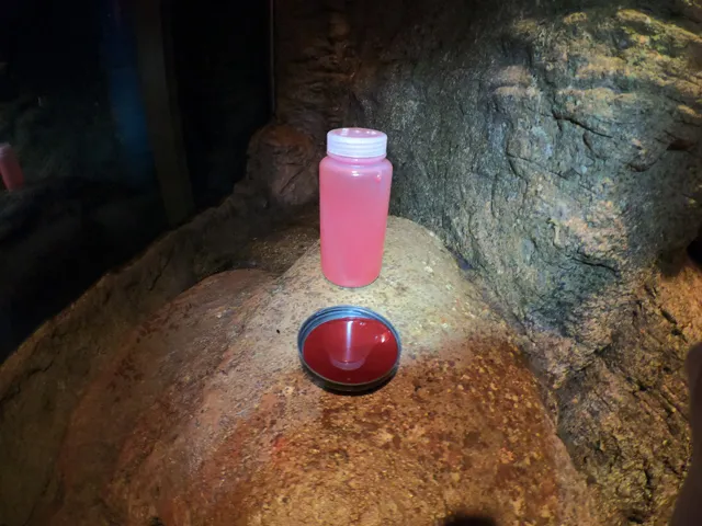 Vampire Bat Colony Care | North Carolina Zoo