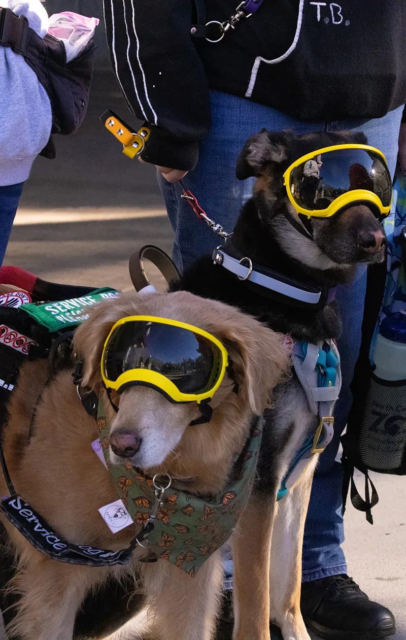 Service Animals | North Carolina Zoo