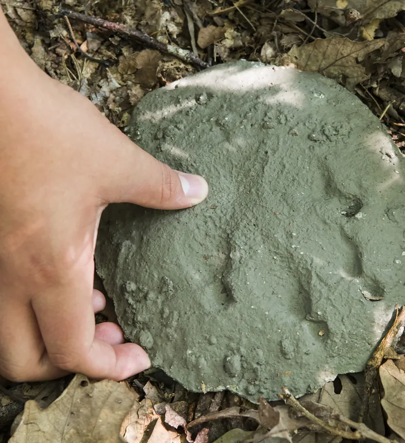 Zoo Science | North Carolina Zoo