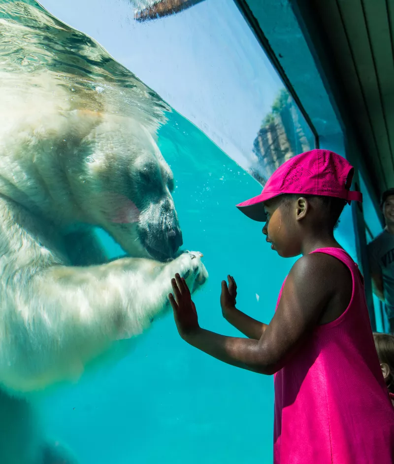 Family Activities in our Zoo Tours | North Carolina Zoo