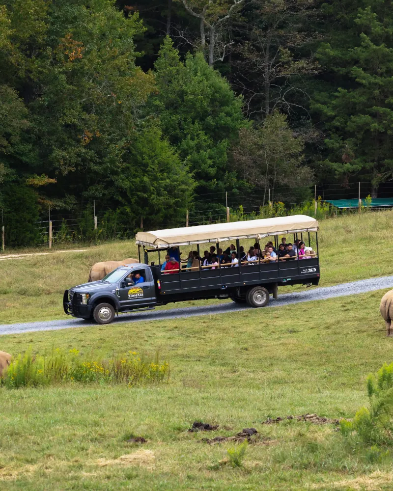 Zoofari | North Carolina Zoo